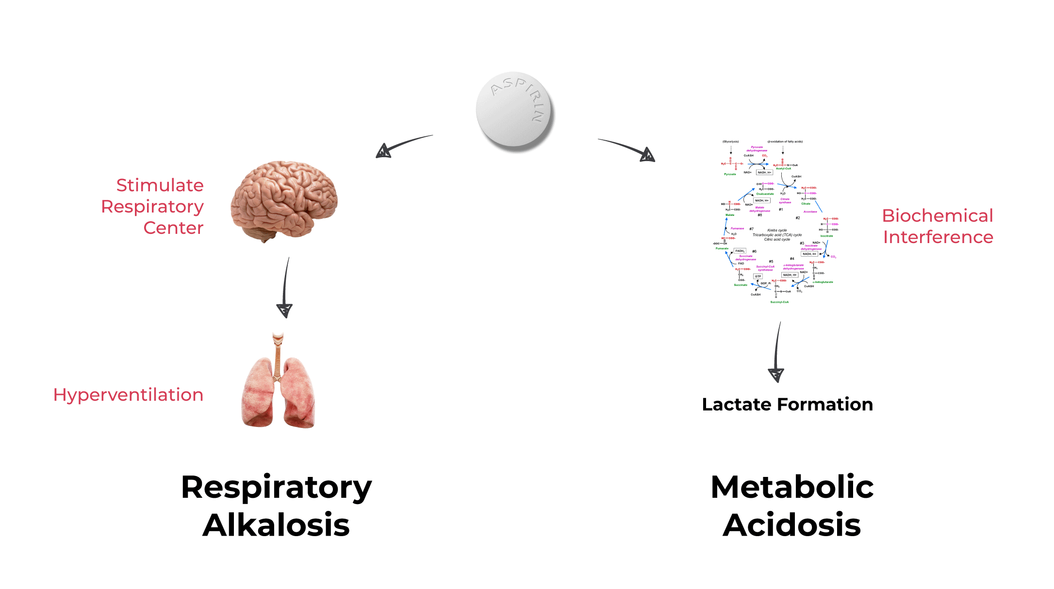 Antidote for aspirin - systemholoser